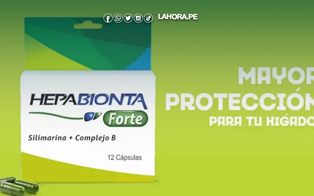 Perú ingresa a los Records Guinness con la degustación de ceviche más ...